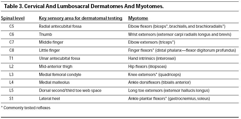Myotomes List